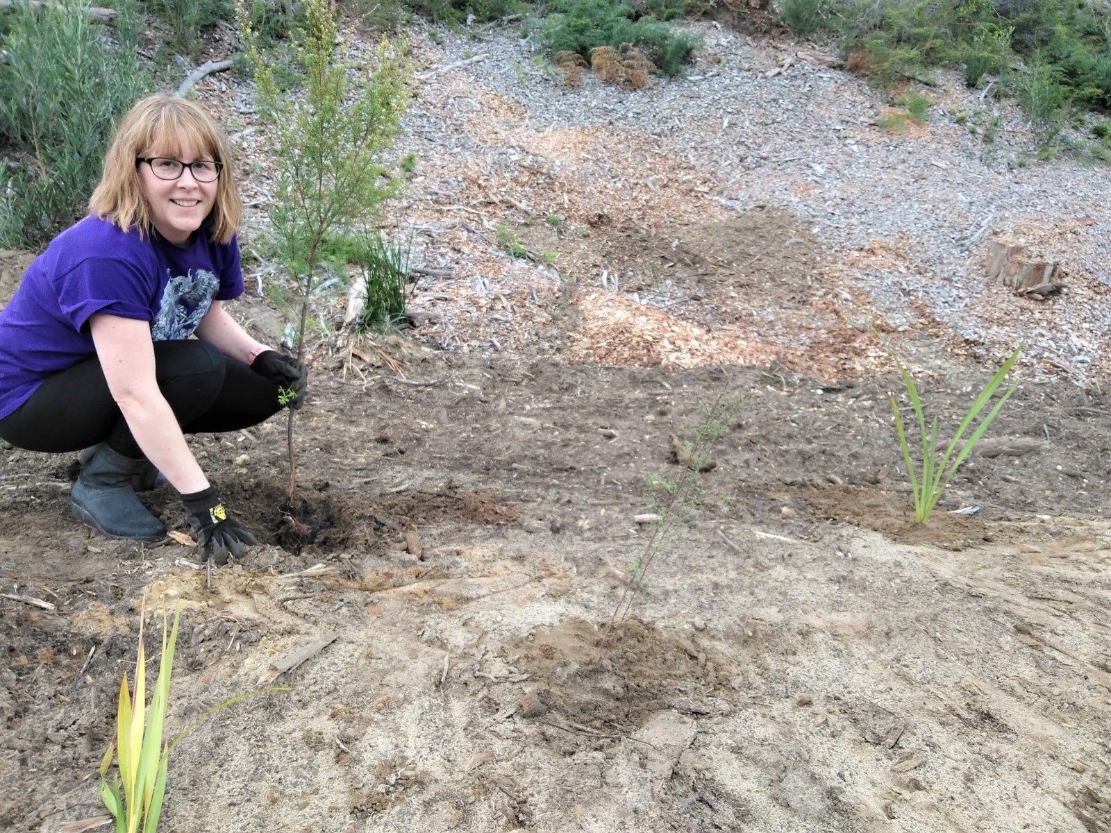 Matariki Planting at Mangawhai Community Park | Kaipara District | New ...