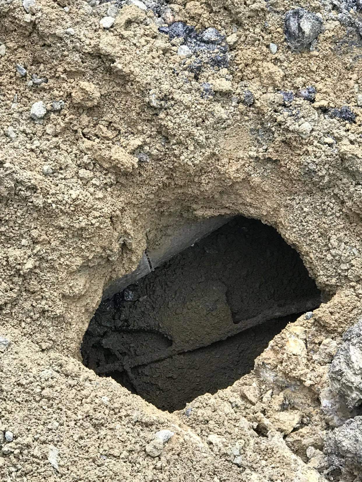 Tomo on Gordon Street | Kaipara District | New Zealand