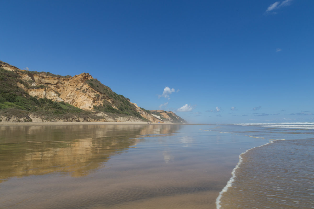Ripiro Beach conversations to continue | Kaipara District | New Zealand