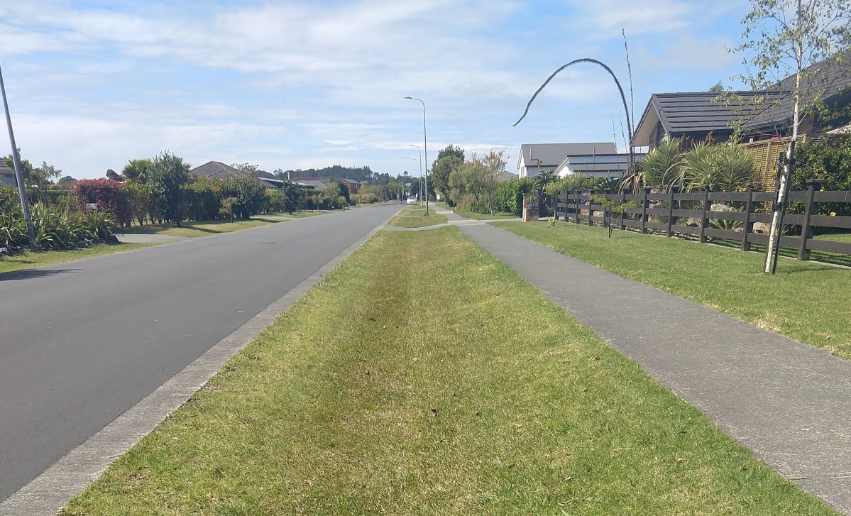 Looking after the humble swale | Kaipara District | New Zealand