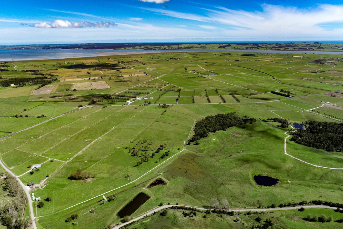 Ruawai: Calling on Local Knowledge