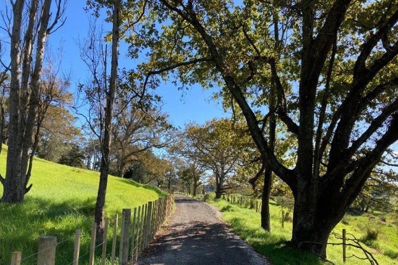 Kaipara District Council, kaipara te oranganui